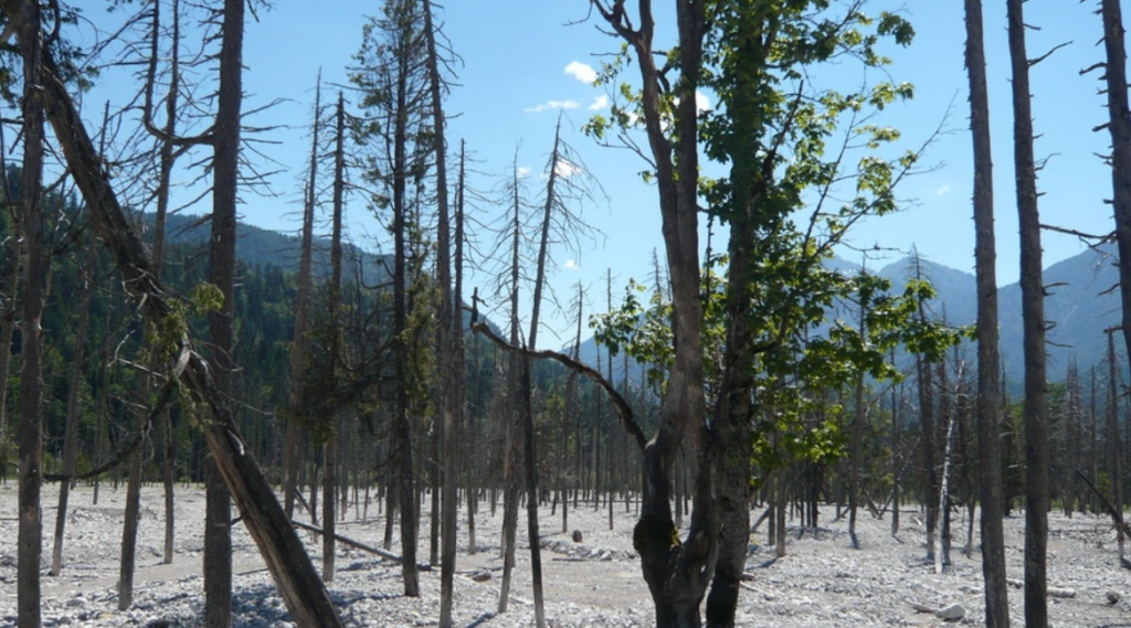 Felssturz und Muren – von unheimlichen Naturgewalten - Katrin Reichwald