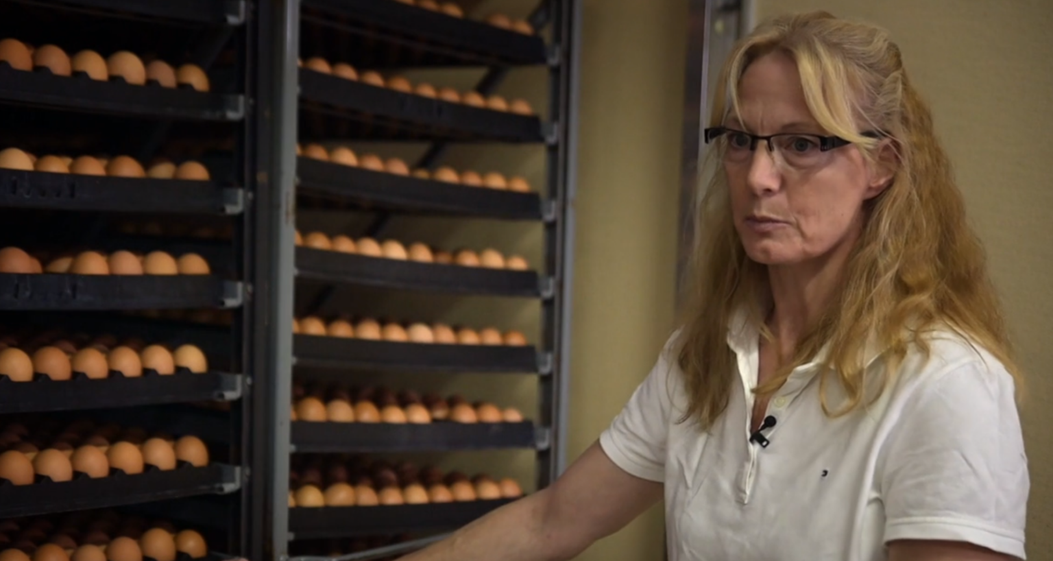 Unser Land - Kükentöten verboten - Katrin Reichwald