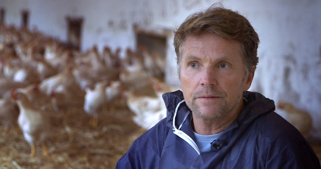 Unser Land - Kükentöten verboten - Katrin Reichwald